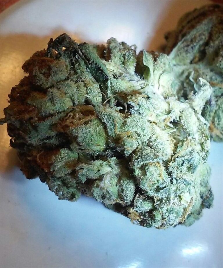 Where to buy cannabis online in australia | SYDNEY KUSH